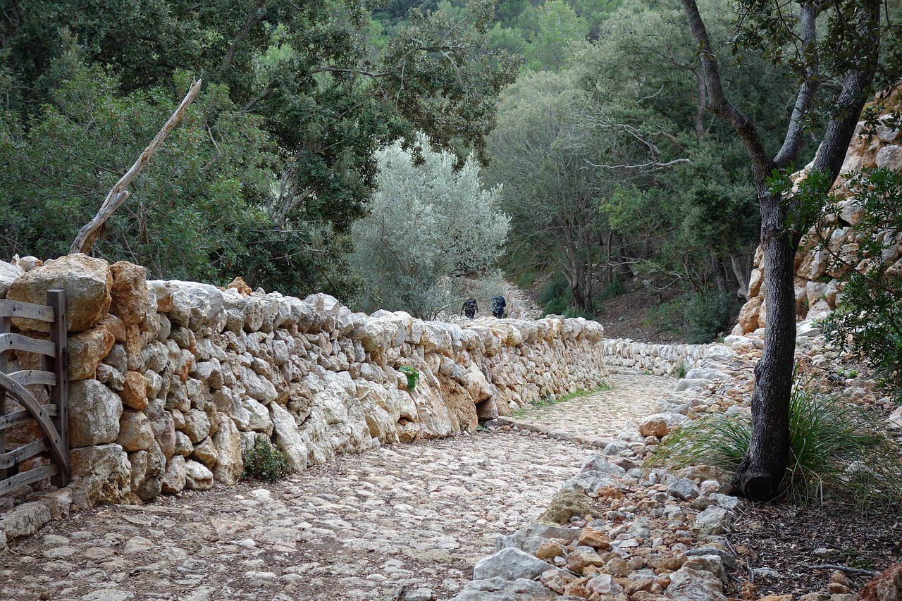 Bunyola, Mallorca 2026 - A complete guide for visiting