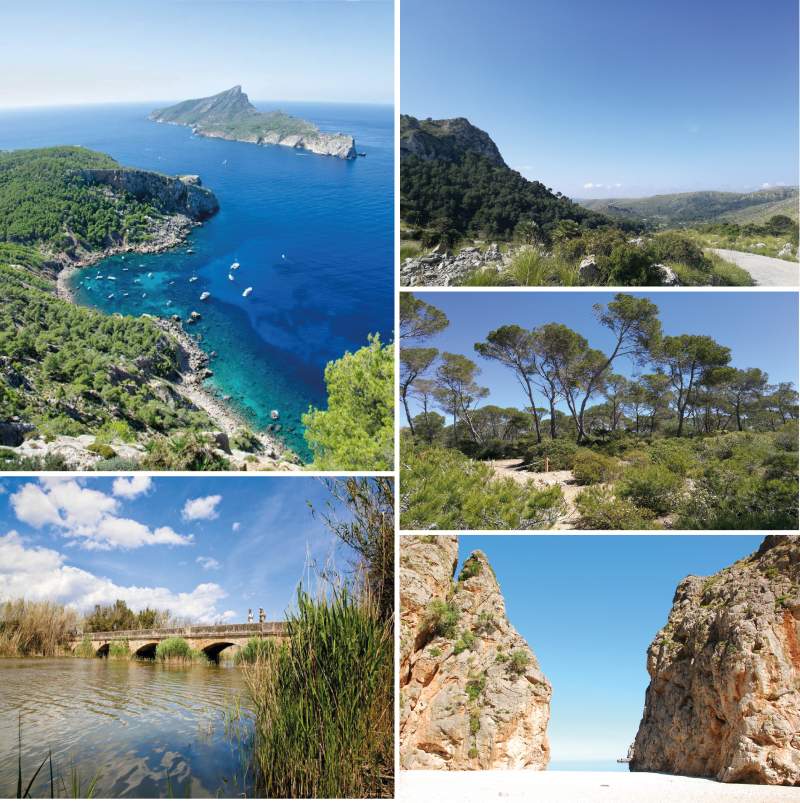 Natural Areas, Parks & Reserves